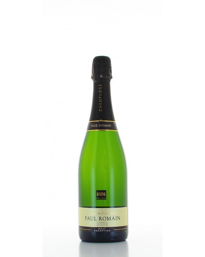 Champagne Paul Romain Brut 75CL X06 pas cher